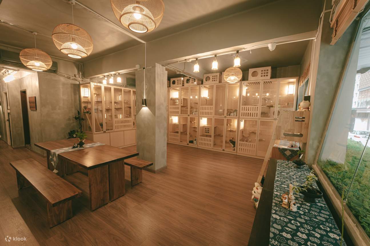 Mau Planet X Mau BnB Cat Hotel in Hong Kong - Klook Malaysia