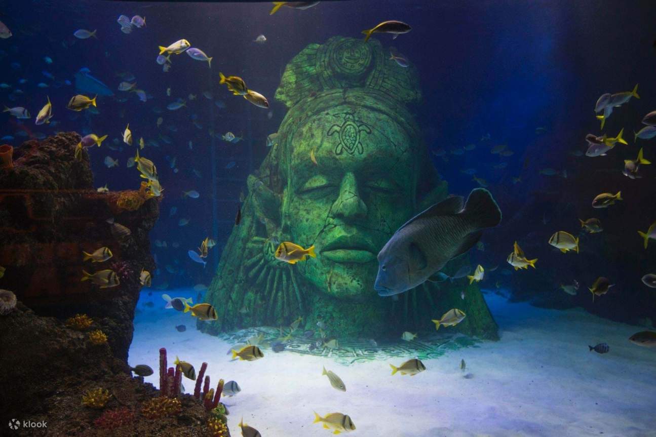 SEA LIFE Manchester Aquarium Ticket - Klook