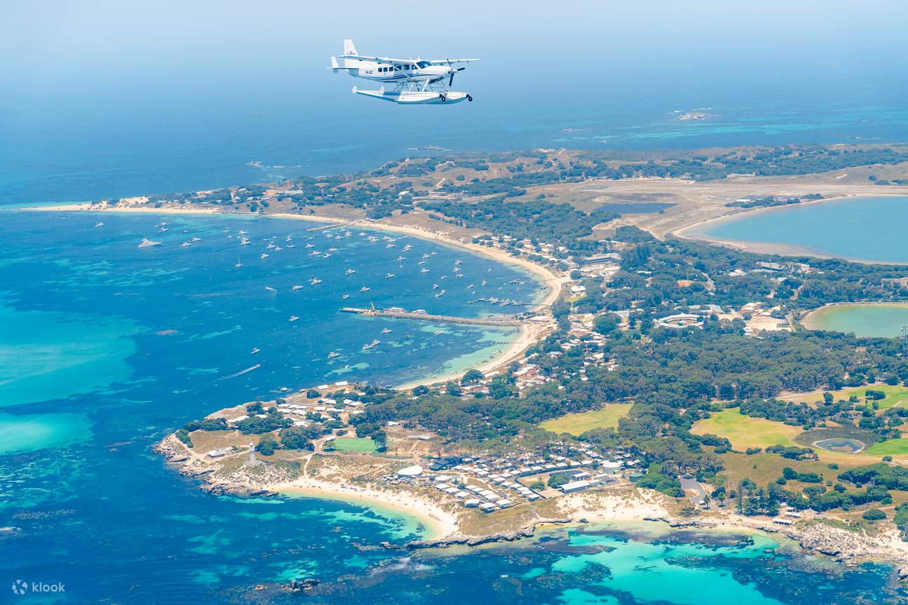 Flug mit dem Wasserflugzeug nach Rottnest Island - Klook, Vereinigte ...