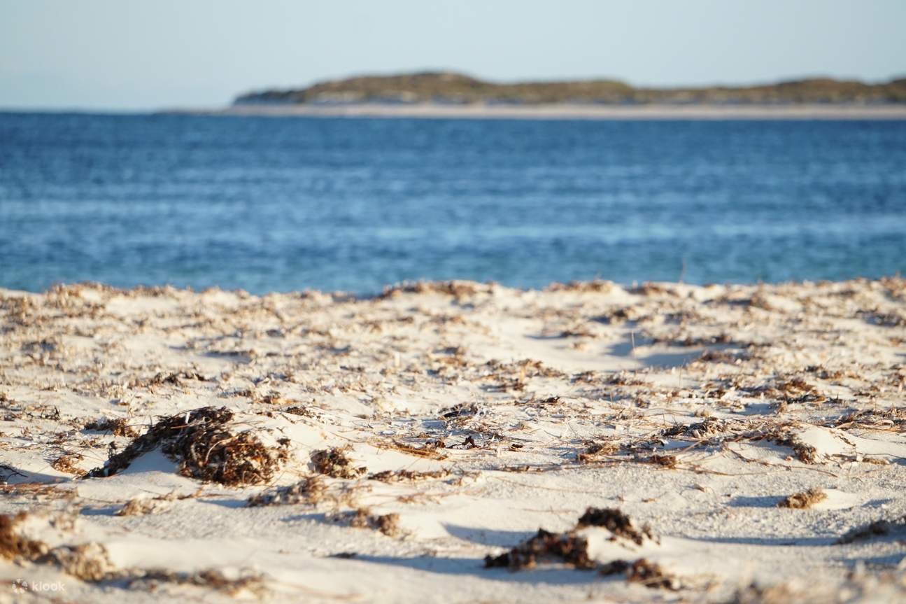 Perth to Pinnacles Self-Guided Driving Tour - Klook Australia