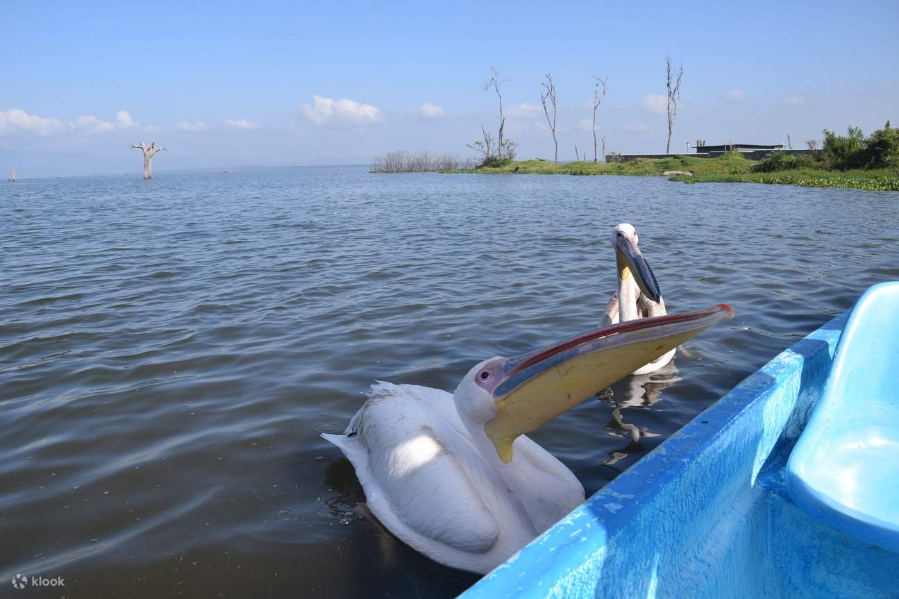 Hell's Gate: Where Your Wildest Kenyan Dreams Come True - Klook Hong Kong