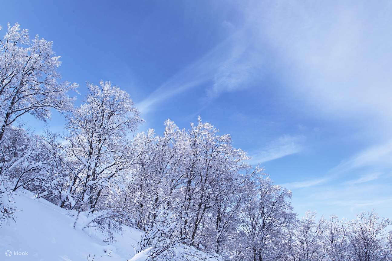 8D6N Japan Ski Tour in Aomori + 2 Nights in Osaka from Singapore | Ski ...