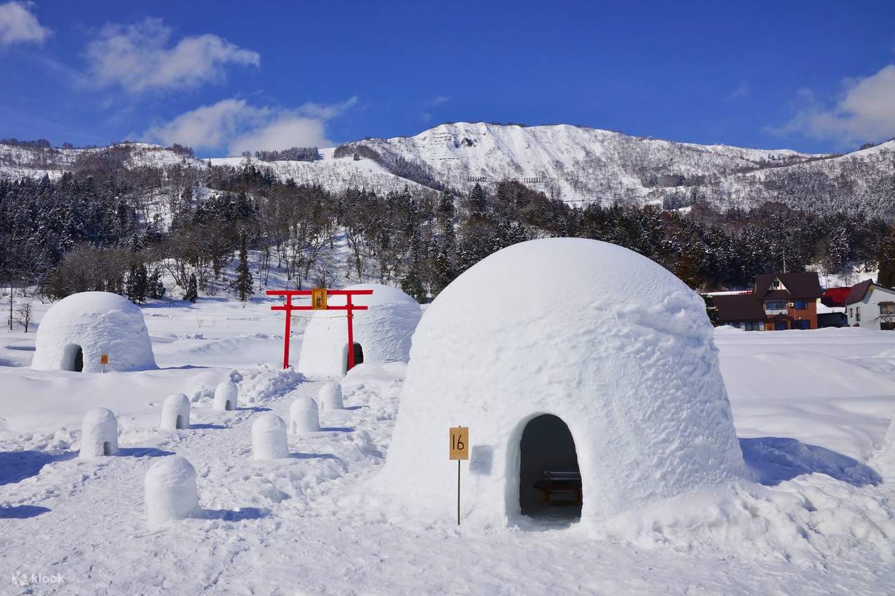 Karuizawa Snow Fun & Iiyama Snow Hut Village & Snow Monkey Onsen ...