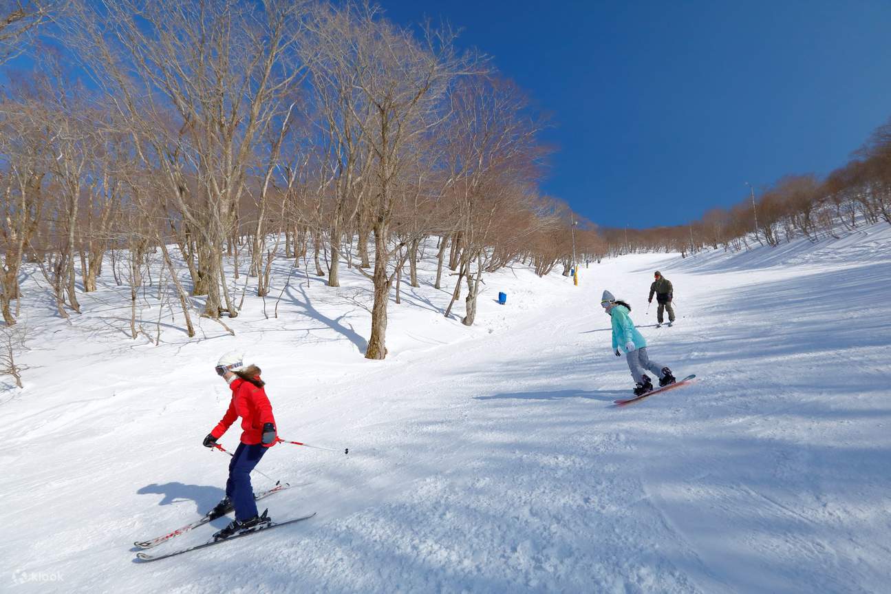 Biwako Valley Ski Resort Day Tour with Round Trip Transfers from Osaka ...