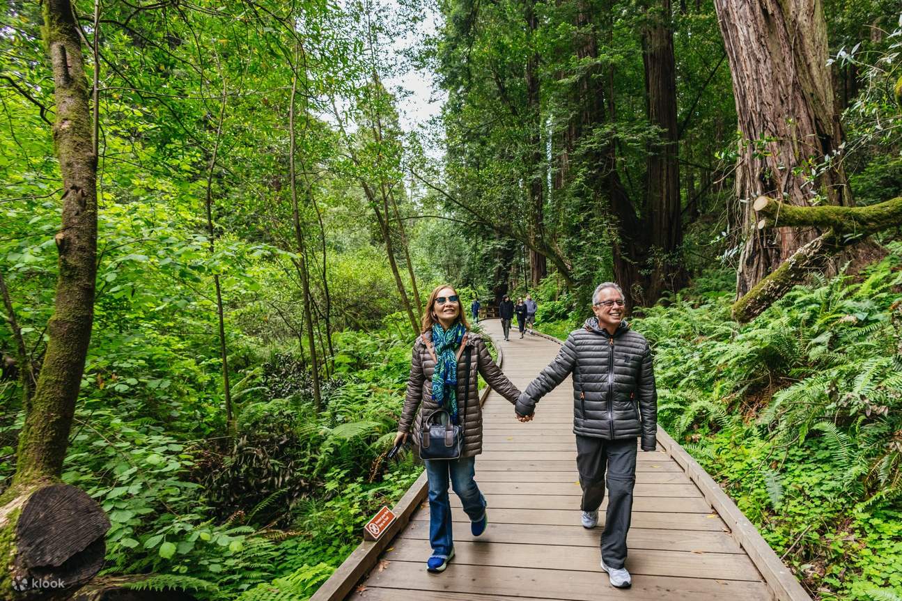 San Francisco Grand City Tour with Muir Woods and Sausalito Tour ...