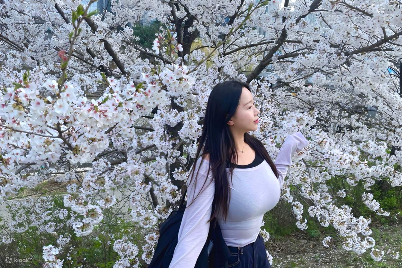 Seoul Photo Walk with a Local Friend: Trendy Photoshoot Experience ...