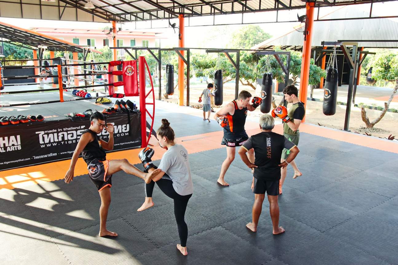Muay Thai (Thai Boxing) Training by Tiger Muay Thai Chiang Mai - Klook ...