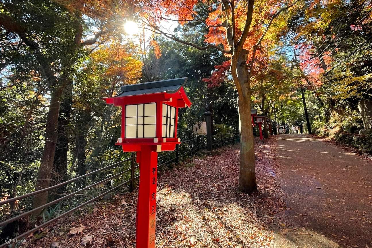 Tokyo City, Mt. Takao One Day Hiking Tour with Autumn Leaves Viewing ...