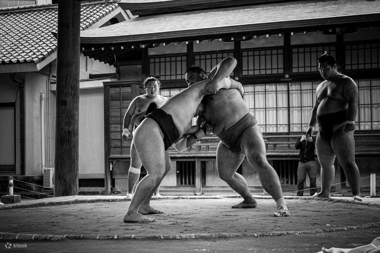 Sumo Training Watching Experience in Tokyo - Klook Hong Kong