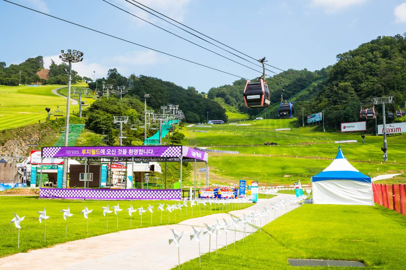 Vivaldi Park Luge Ride & Nami Island Day Tour from Seoul - Klook Hong Kong