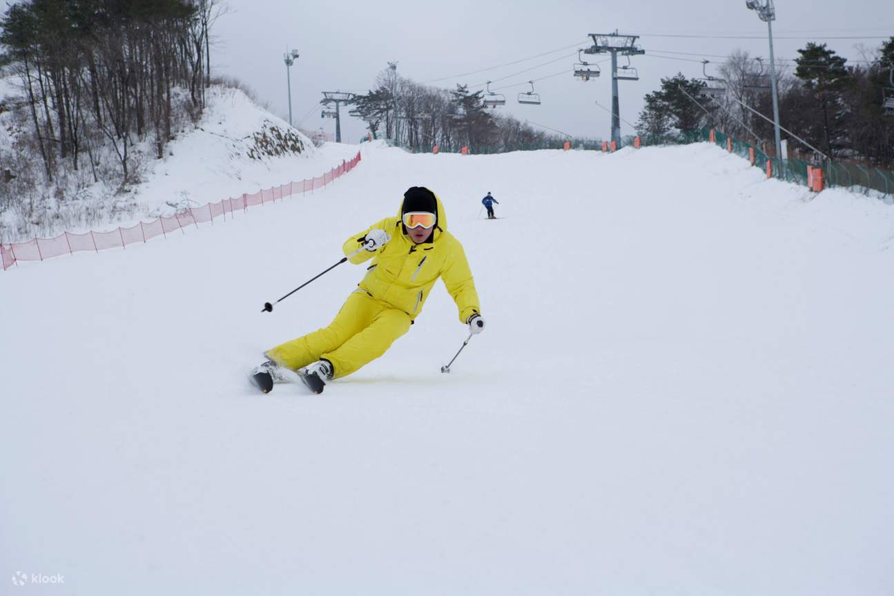 Korea Winter Jisan Ski Resort Day Tour from Seoul - Klook