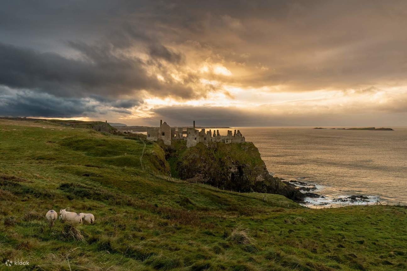 Giant's Causeway, Dunluce Castle & Dark Hedges Tour from Belfast ...
