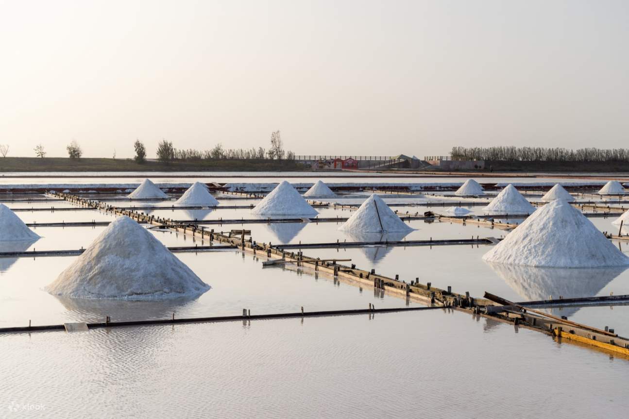 Tainan: Qigu Salt Mountain & Chikan Tower & Anping Castle Day Tour - Klook