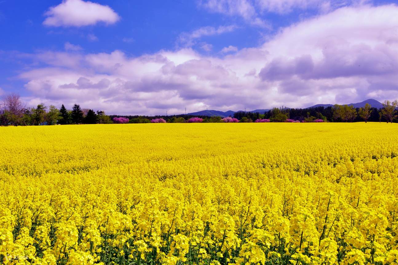 Sightseeing Route of Shimokita Peninsula Aomori Bus or Taxi Tour ...
