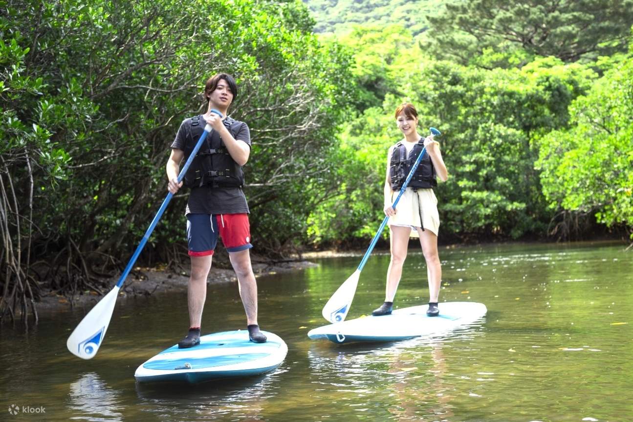 Mangrove SUP, canoeing and canyoning experience (Iriomote Island ...