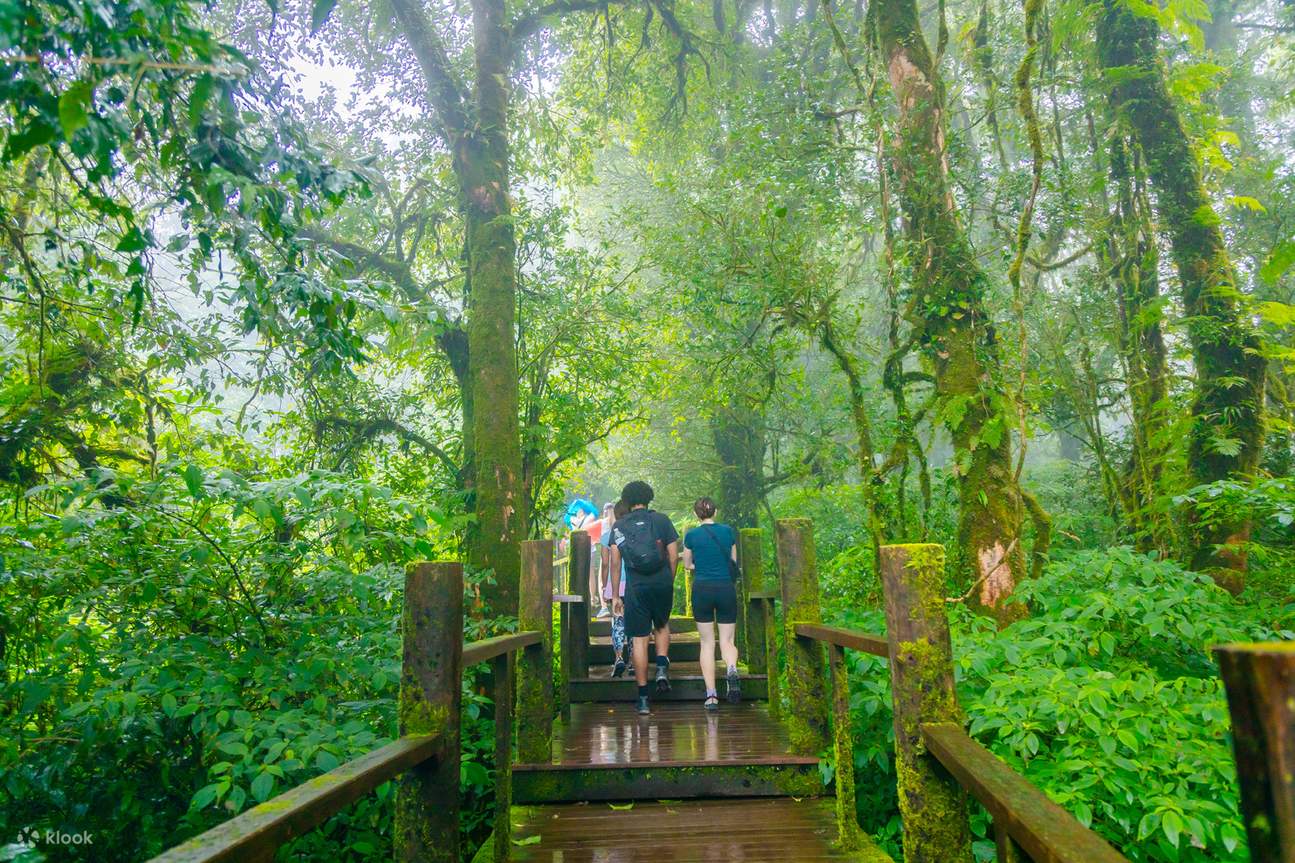 Chiang Mai : Doi Inthanon, Waterfalls, & Tribal Villages Tour - Klook ...