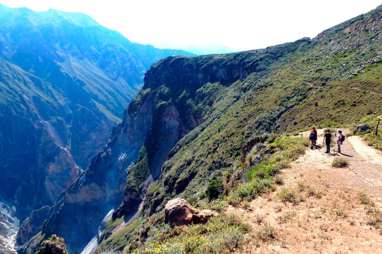 Colca Canyon Day Tour - Klook Philippines