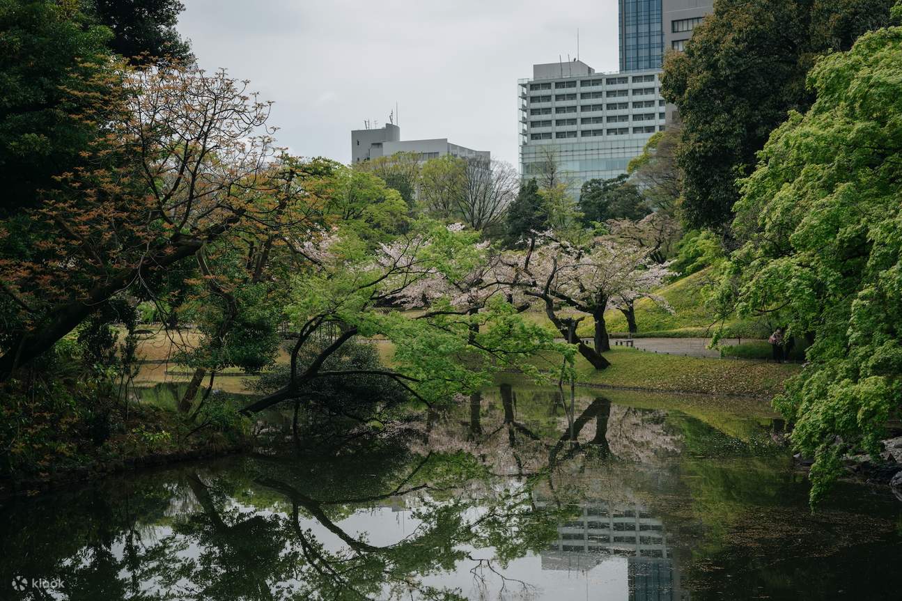 From Asakusa: Old Tokyo, Temples, Gardens and Pop Culture - Klook New ...