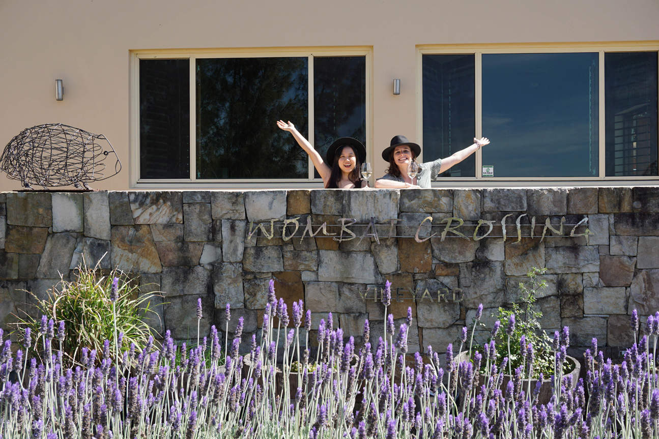 Rasa Wain di Hunter Valley oleh Wombat Crossing Vineyard - Klook ...