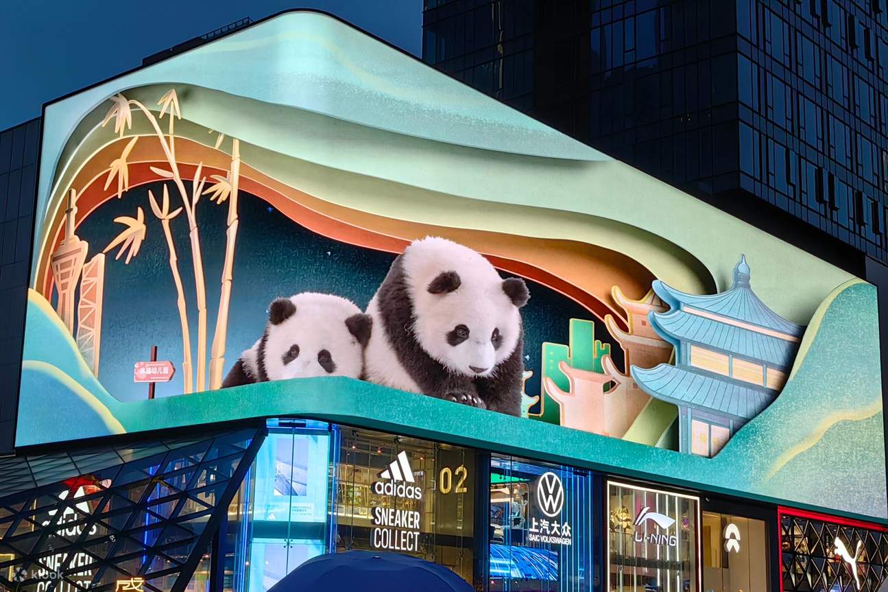 Chengdu city: Daci Temple + Chunxi Road/Taikoo Li Business District ...