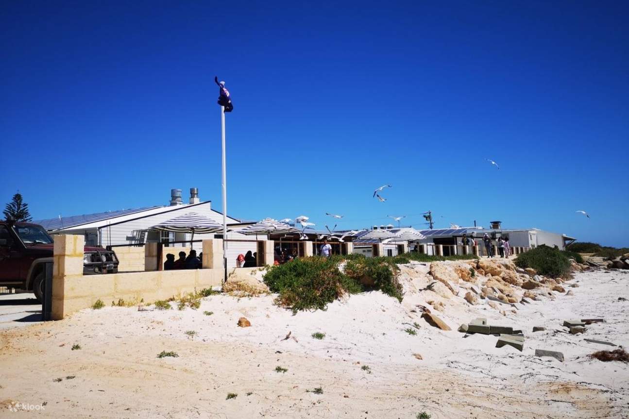Pinnacle Desert Explorer mit Lancelin Sandboarding Ganztagestour ...