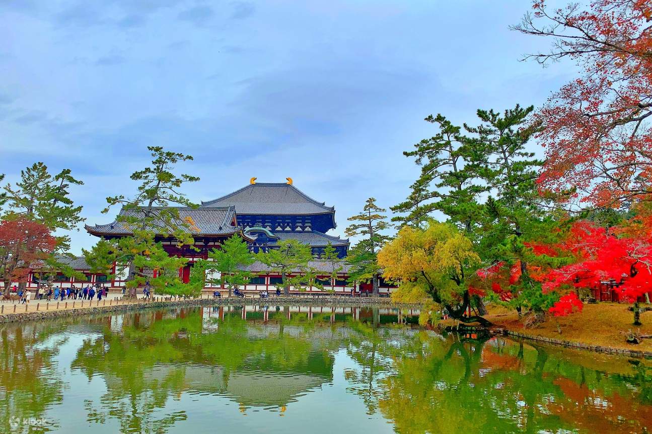 Nara World Heritage PRIVATE TOUR - Klook