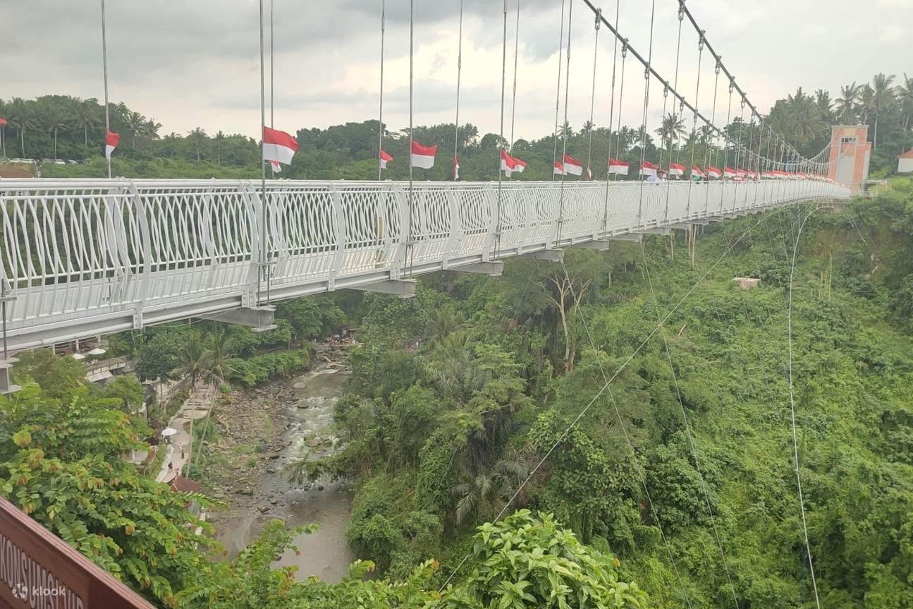 Glass Bridge Bali Ticket in Ubud Bali - Klook