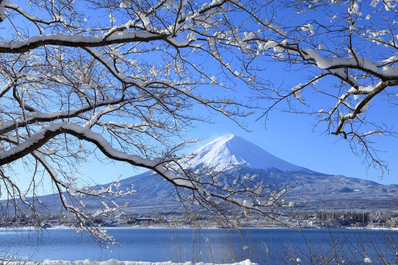 Mount Fuji Panoramic Day Trip - Mount Fuji World Heritage Center, Lake ...
