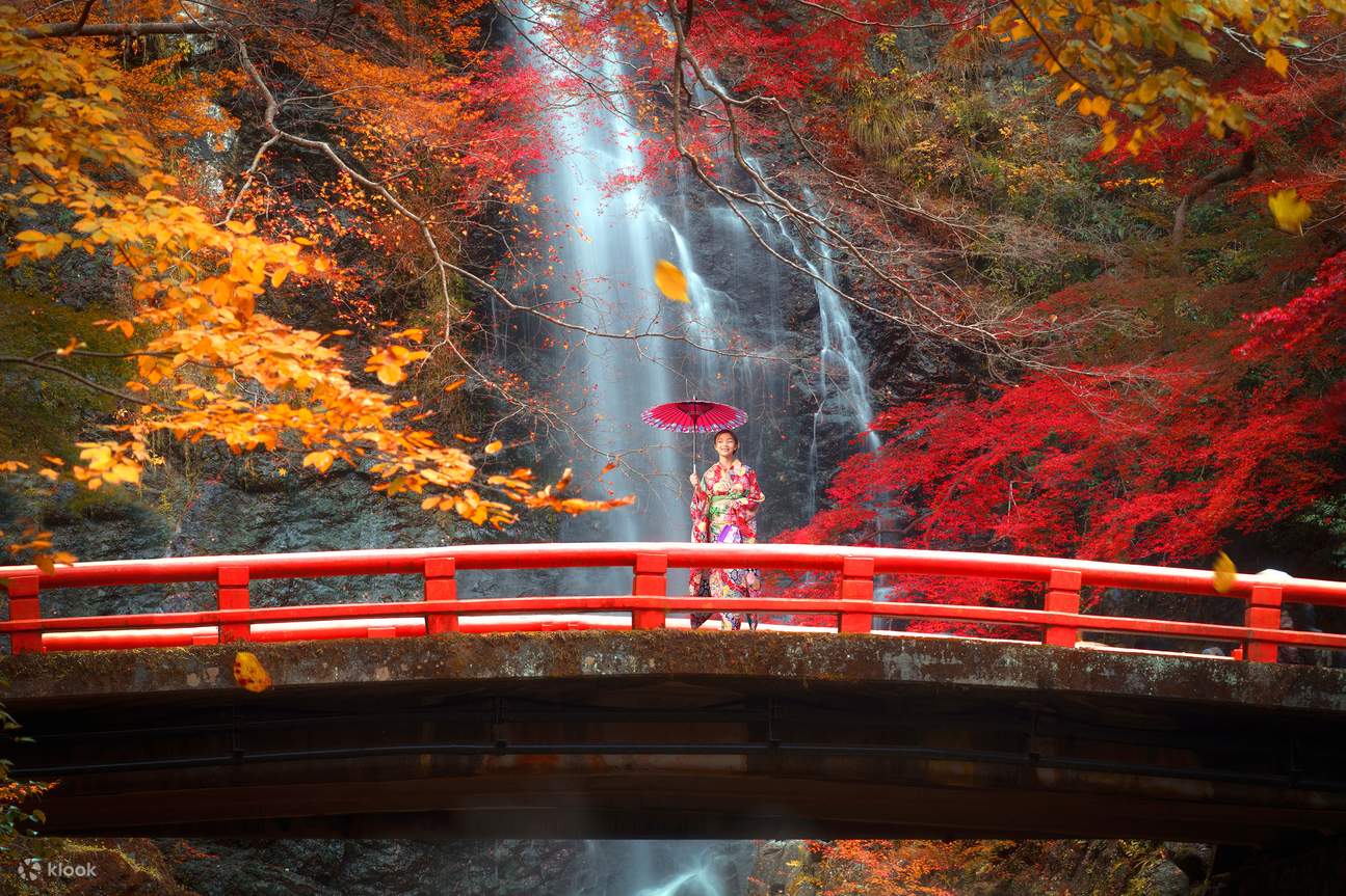 Autumn in Kyoto: Minoh, Sagano Train, Arashiyama & Kinkakuji - Klook ...