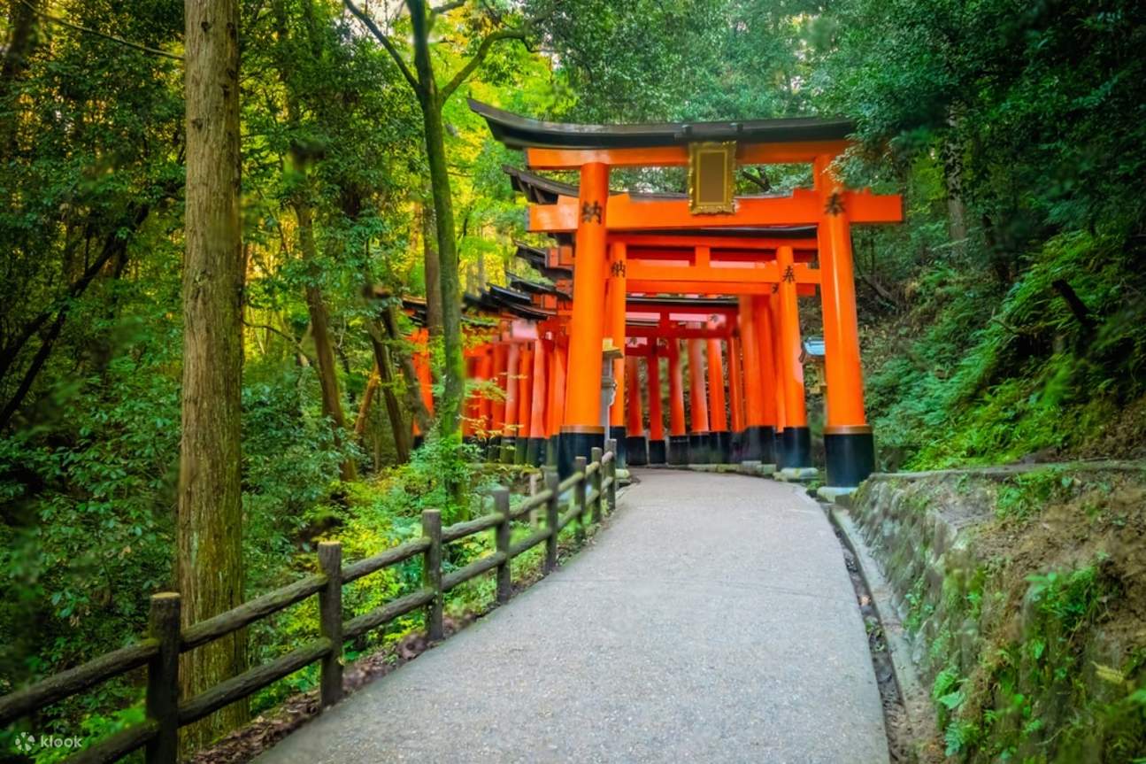 Kyoto Private Day Trip - Klook United Kingdom