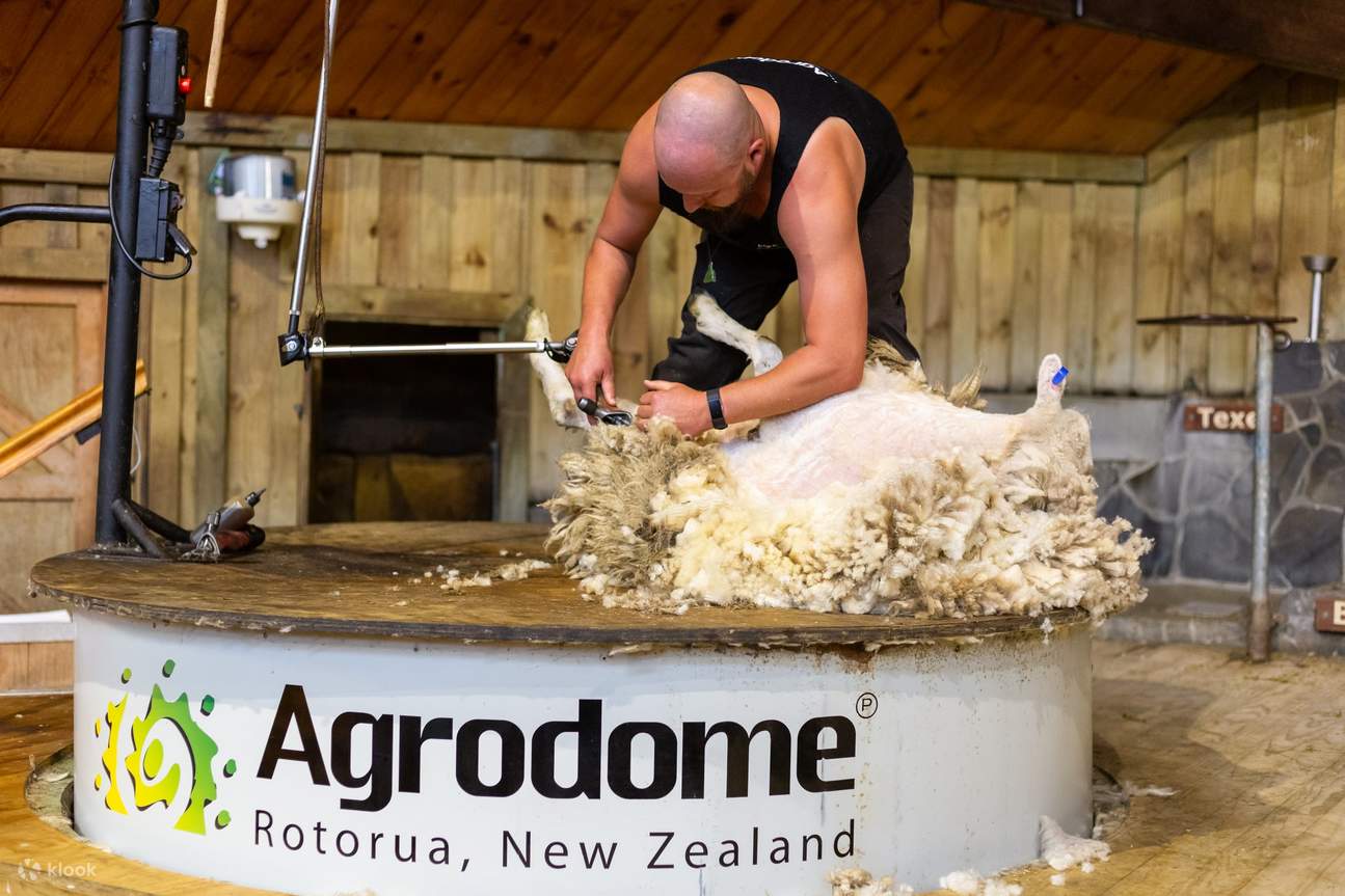 Agrodome Farm Admission Ticket in Rotorua, New Zealand - Klook Singapore