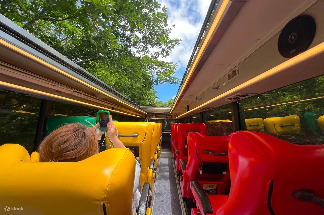 Miyagi: Autumn Leaves & Zao Fox Village 1Day Tour (Sendai Departure ...