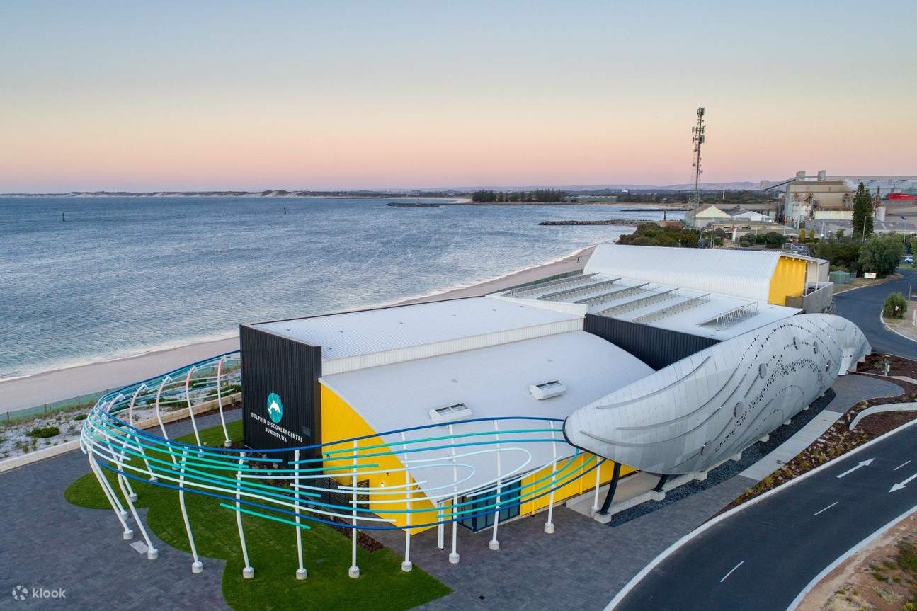Dolphin Discovery Centre Ticket - Klook