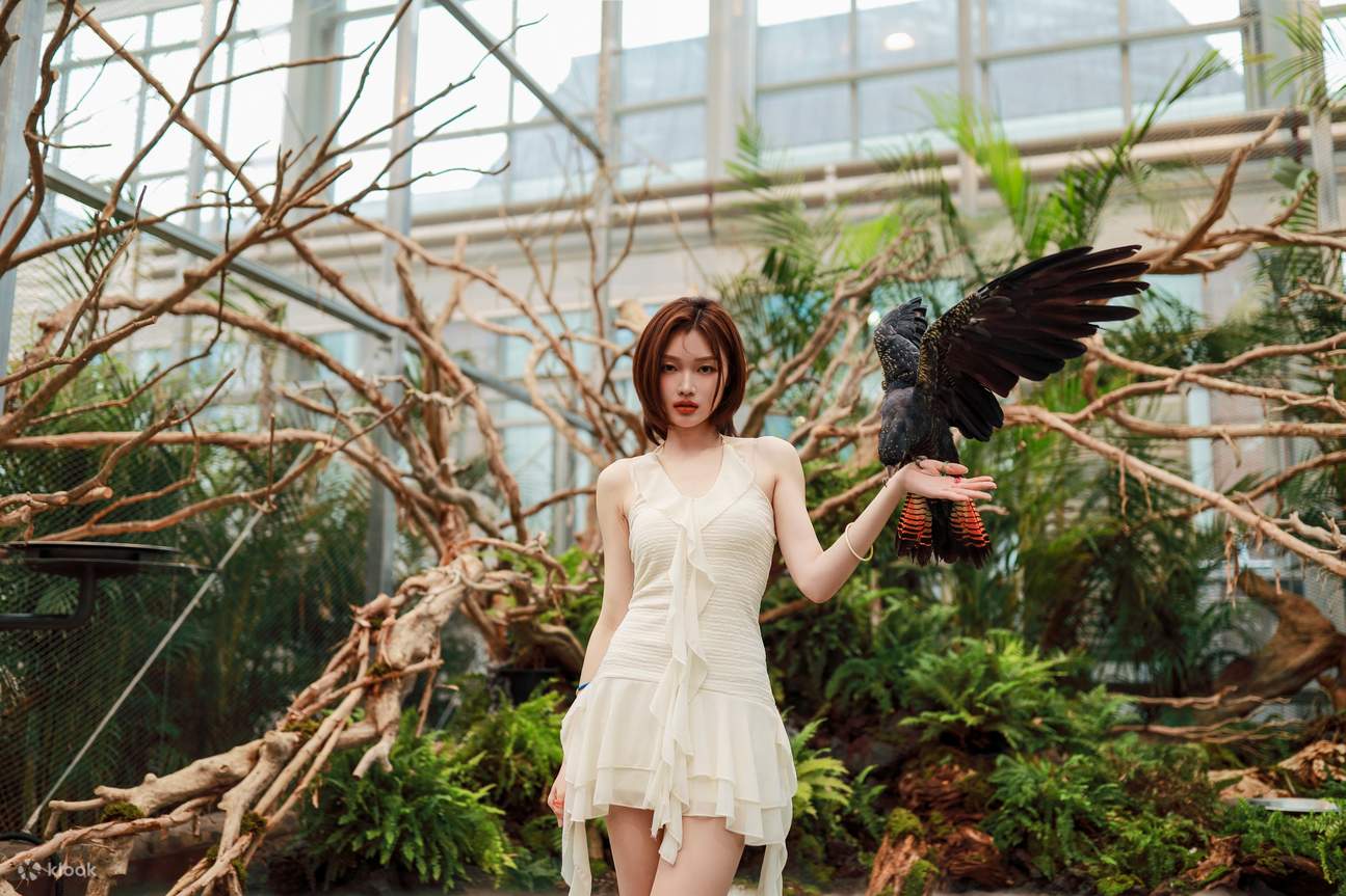 Gyeonggi Begonia Bird Park Ticket - Klook