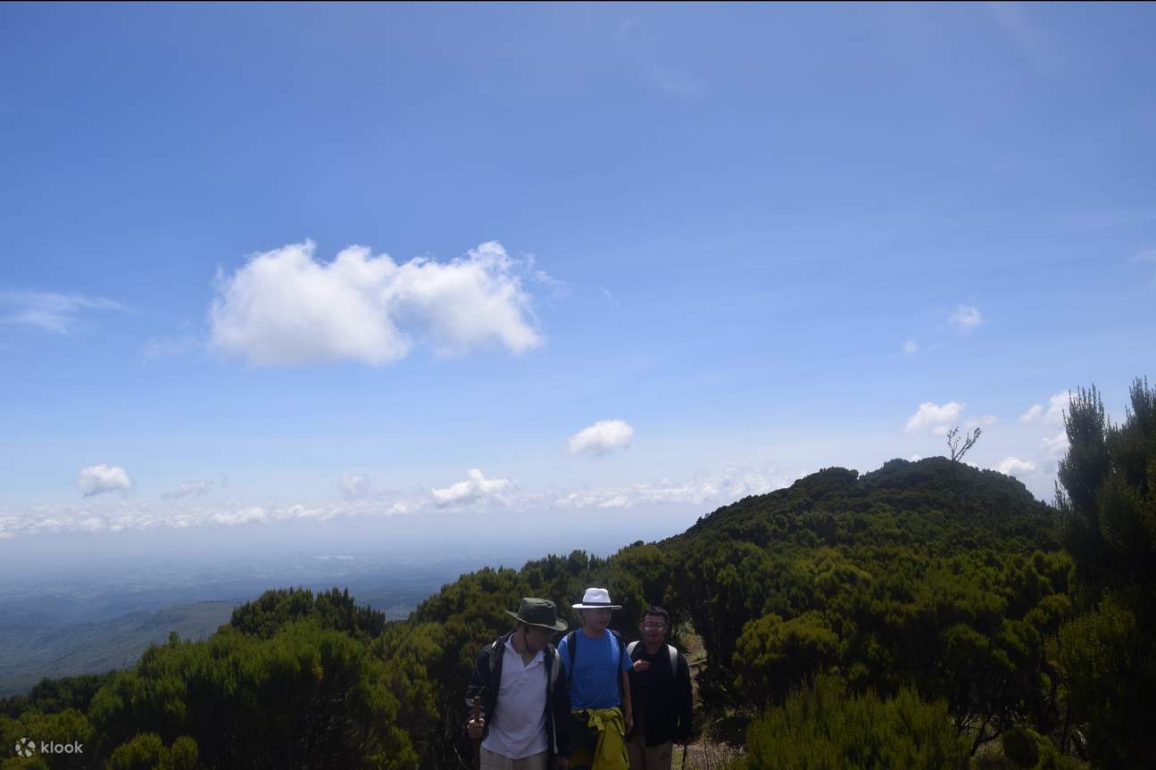 Experience the Ultimate Elephant Hills Hike Tour – A Nature Adventure ...
