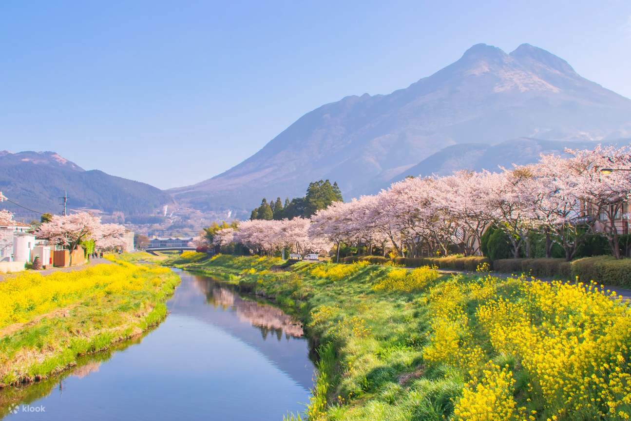 Dazaifu, Bungo-Mori, Beppu, Yufuin 1 Day Bus Tour From Fukuoka - Klook
