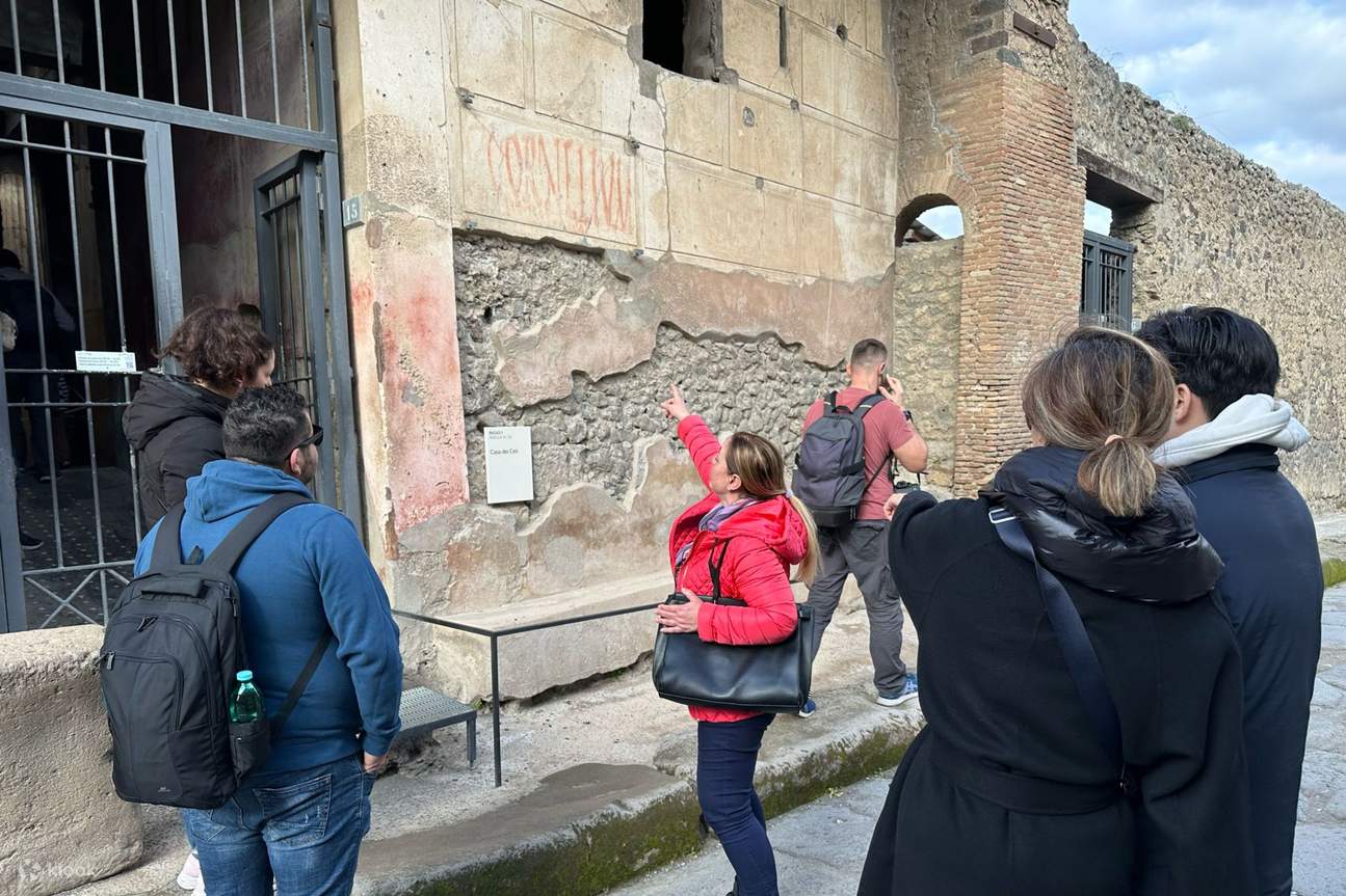 Pompeii, Herculaneum & Mount Vesuvius Scenic Drive Tour from Naples - Klook