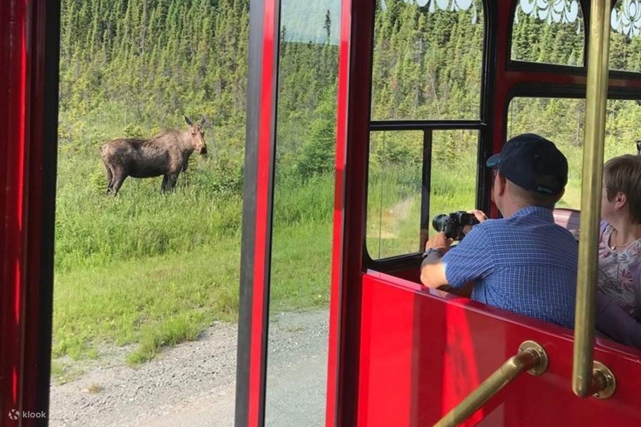Anchorage City Trolley Tour - Klook
