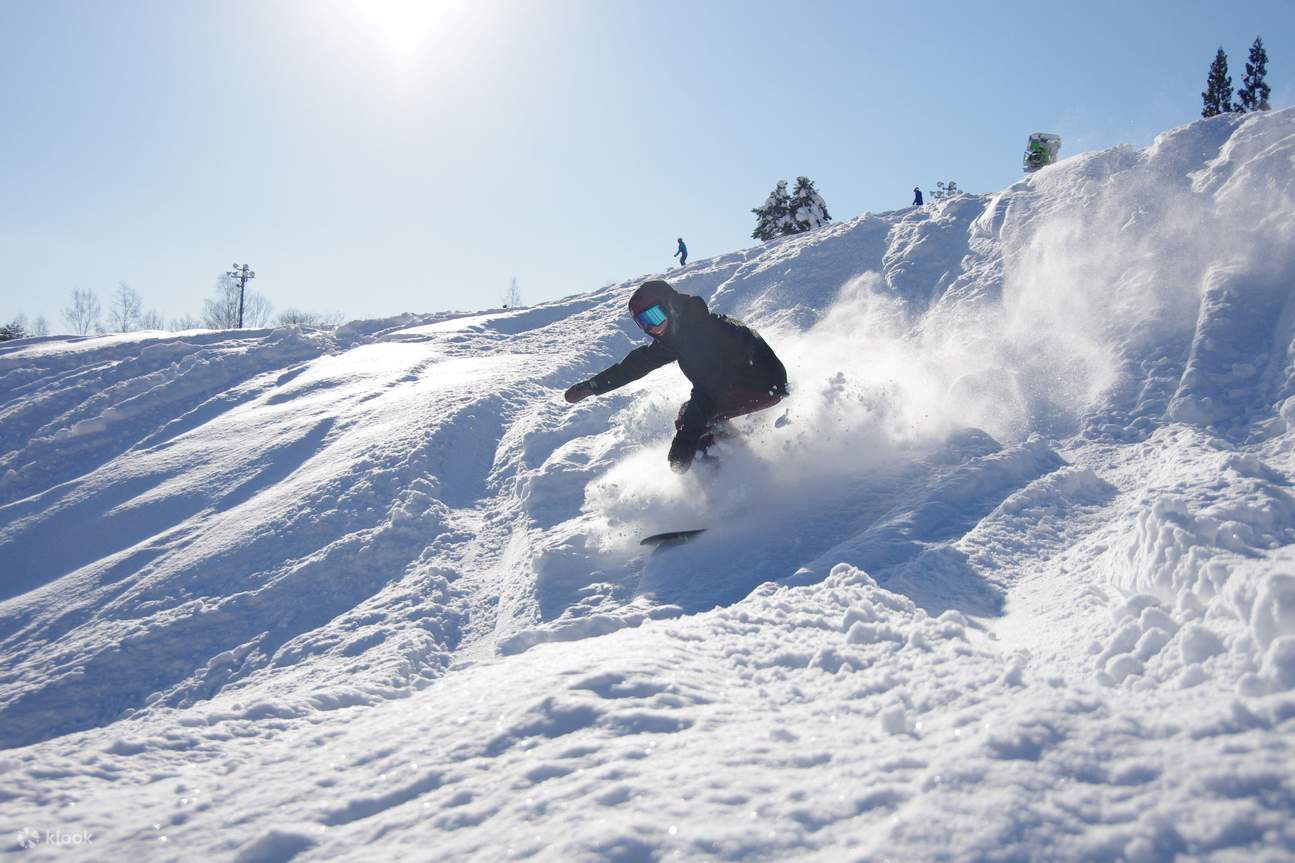 Dynaland Ski Resort 1-DAY Lift Ticket & Round-Trip Bus from Nagoya ...