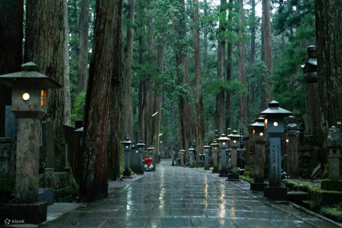 Mount Koya Wakayama & Nachi Waterfall Private Day Tour - Klook Россия