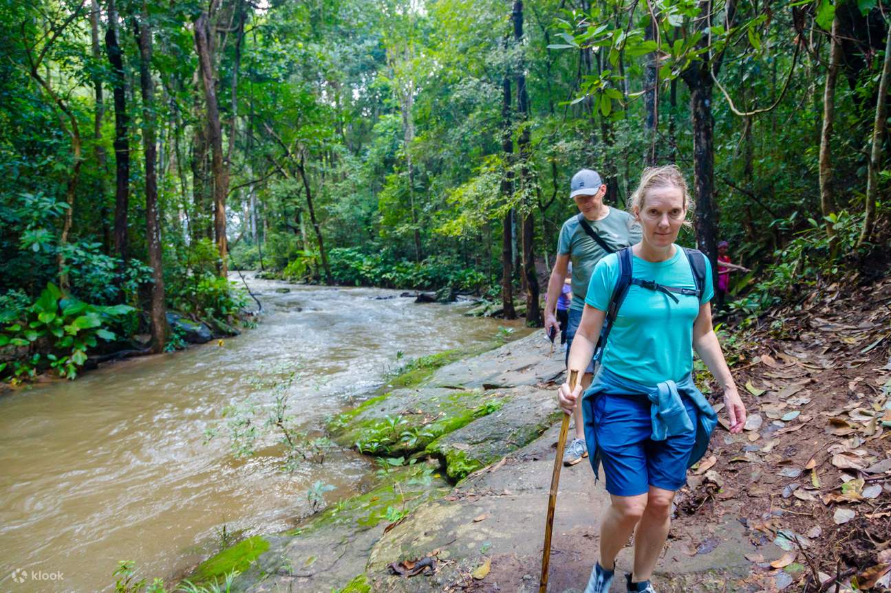 Chiang Mai: Kew Mae Pan Nature Trail & Doi Inthanon Day Trip - Klook ...