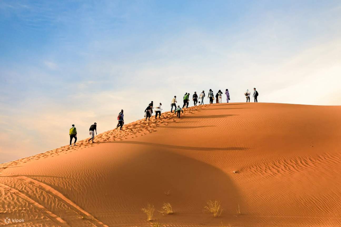Dune Bashing Safari Experience in Riyadh - Klook