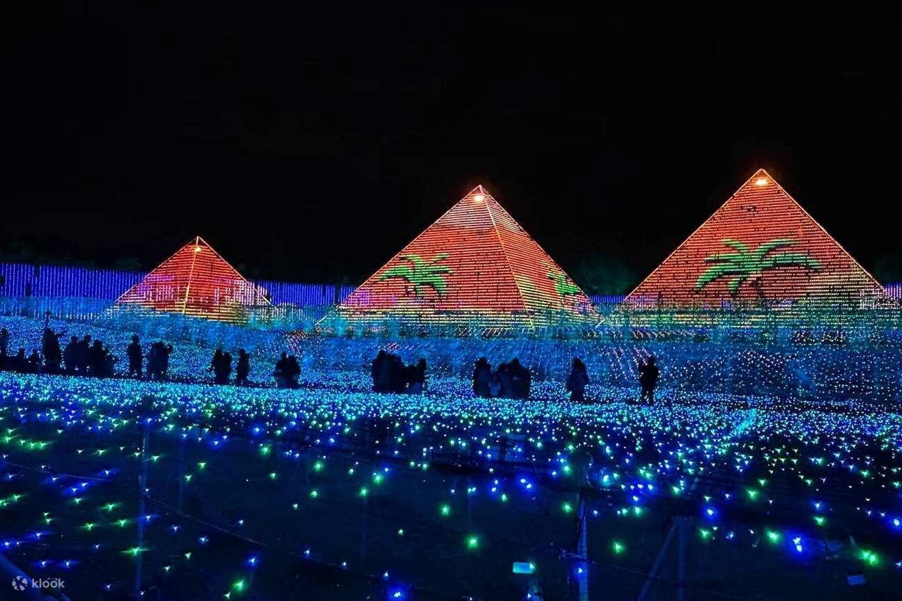 Tour in autobus dell'outlet di Nagashima Mitsu e dell'illuminazione ...