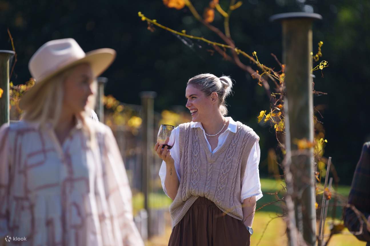 Full Day Winery Guided Tour from Brisbane by The Vino Bus - Klook