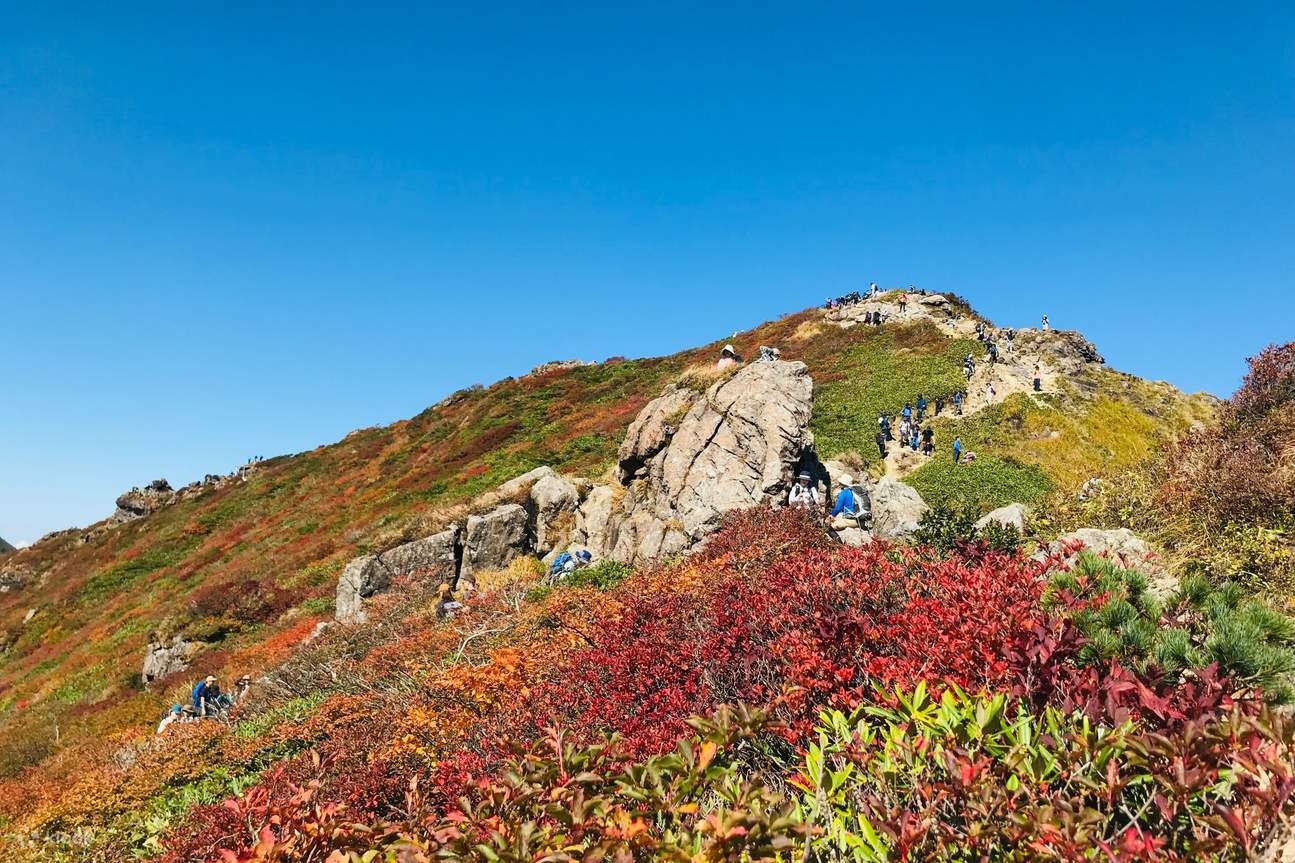 Tanigawadake Ropeway and Tenjin One Day Trip from Tokyo - Klook