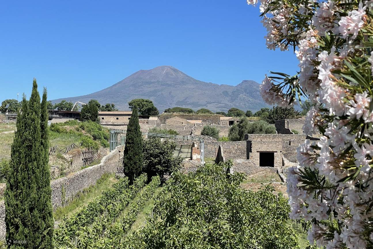 Pompeii Walking Tour - Klook United Kingdom
