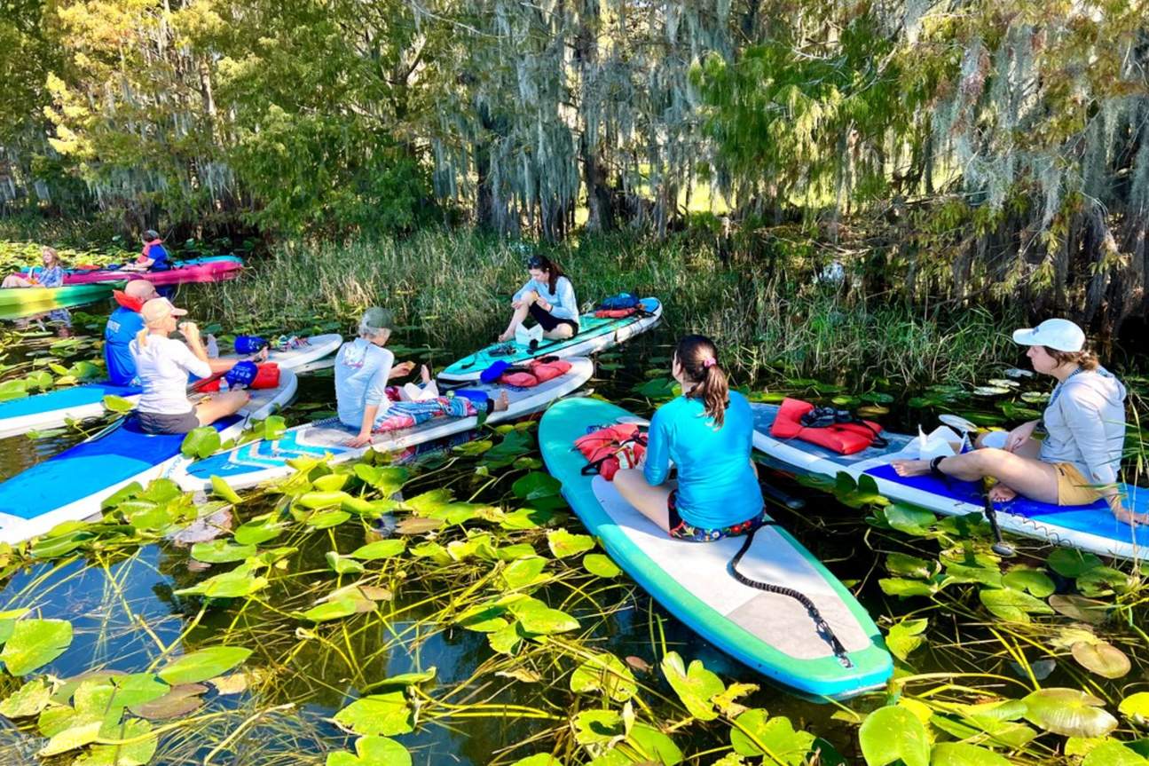 Happy Hour Sunset Clear Kayak or Paddleboard Experience in Orlando - Klook