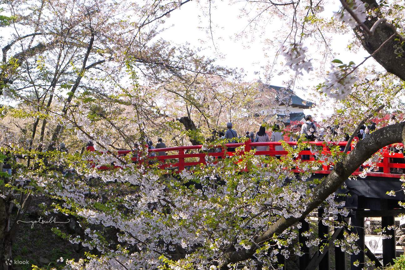 Street Food dan Cherry Blossom Viewing dan Tokyo Sertai Lawatan ...