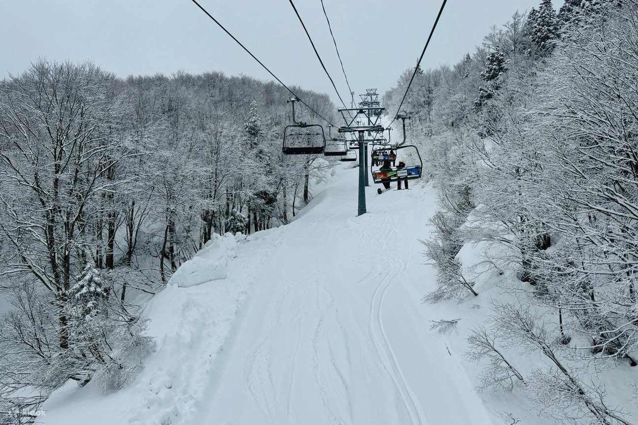 GALA Yuzawa Ski Resort 1-Day Coaching Course (Niigata) - Klook Australia