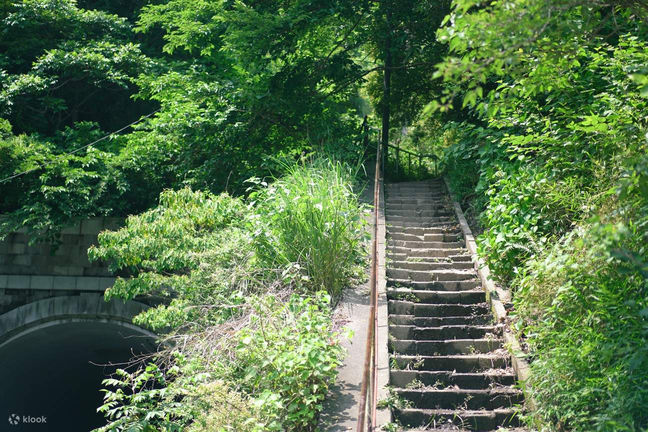 Kamakura City, Sasuke Inari Shrine & Great Buddha of Kamakura Half Day ...